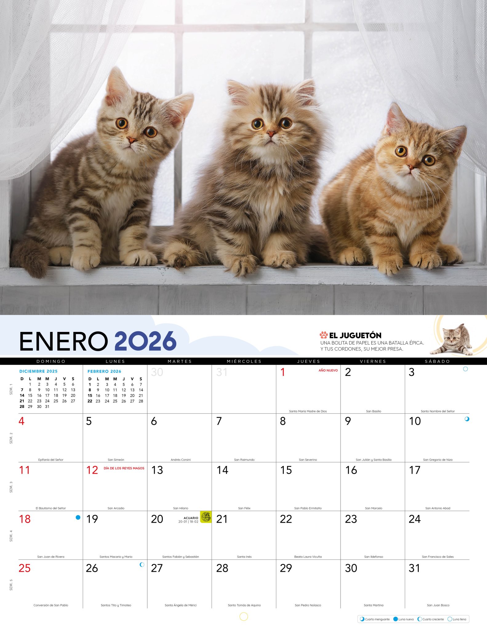 Calendario Gatitos 2026 (Enero 2026 a 2027) – Mi Kyosco – Kyosco ...